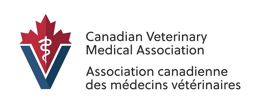 Certified Veterinary Technician In 2 Years | Oulton College